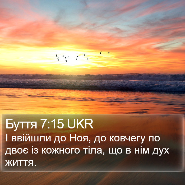 Буття 7:15 UKR - І ввійшли до Ноя, до